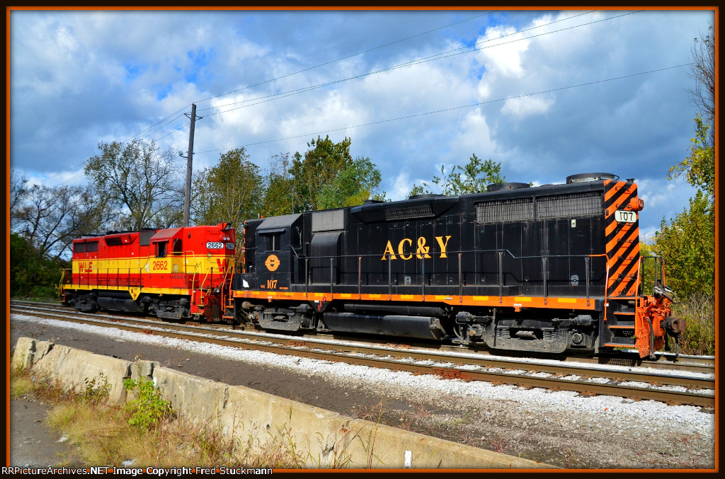 Aren't they a beautiful couple?